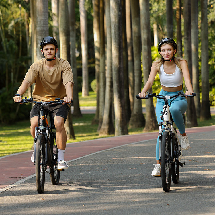 Qlife Electric Bikes-Endless Power, Infinite Exploration – My Store