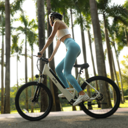 Qlife Electric Bikes-Endless Power, Infinite Exploration – My Store